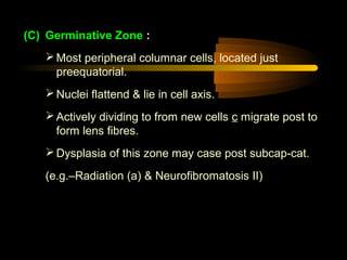 anatomy & physiology of lens | PPT