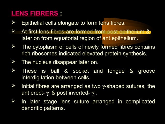 anatomy & physiology of lens | PPT | Biological Sciences | Science