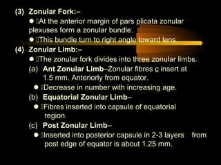 anatomy & physiology of lens | PPT