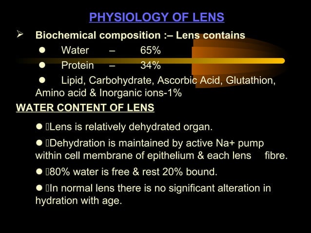 anatomy & physiology of lens | PPT | Biological Sciences | Science
