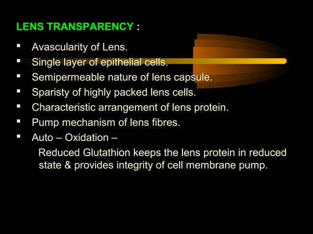 anatomy & physiology of lens | PPT | Biological Sciences | Science