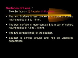anatomy & physiology of lens | PPT