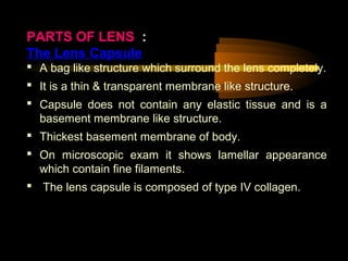 anatomy & physiology of lens | PPT
