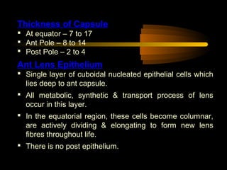 anatomy & physiology of lens | PPT