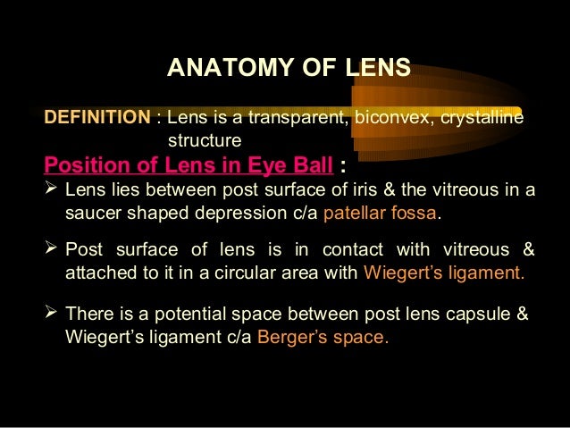 anatomy & physiology of lens