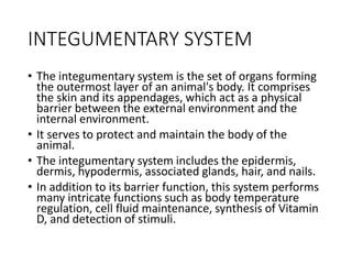 Ana 201- lecture 2. Introduction to Anatomy. | PPTX