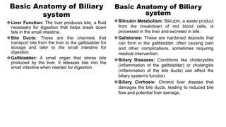 Gross Anatomy of the Liver | PPTX