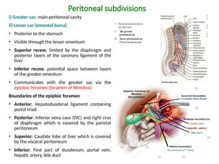 ANA 204 The Peritoneum.pptx by Dr Aliyu S Jahun | PPTX