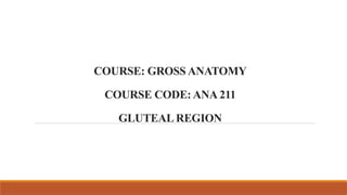 ANA 211 Gluteal region ror 200l health science students | PPTX
