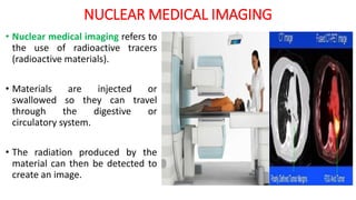 ANA 211 Imaging.pdf
