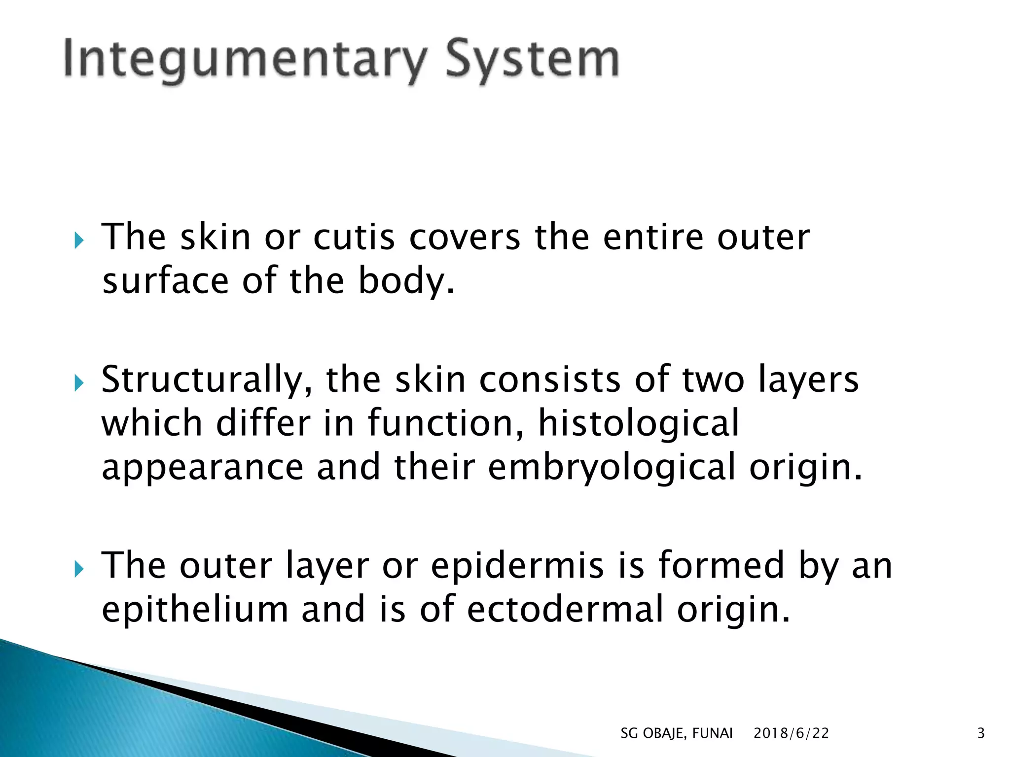 Ana212 histology of integumentary system | PPTX