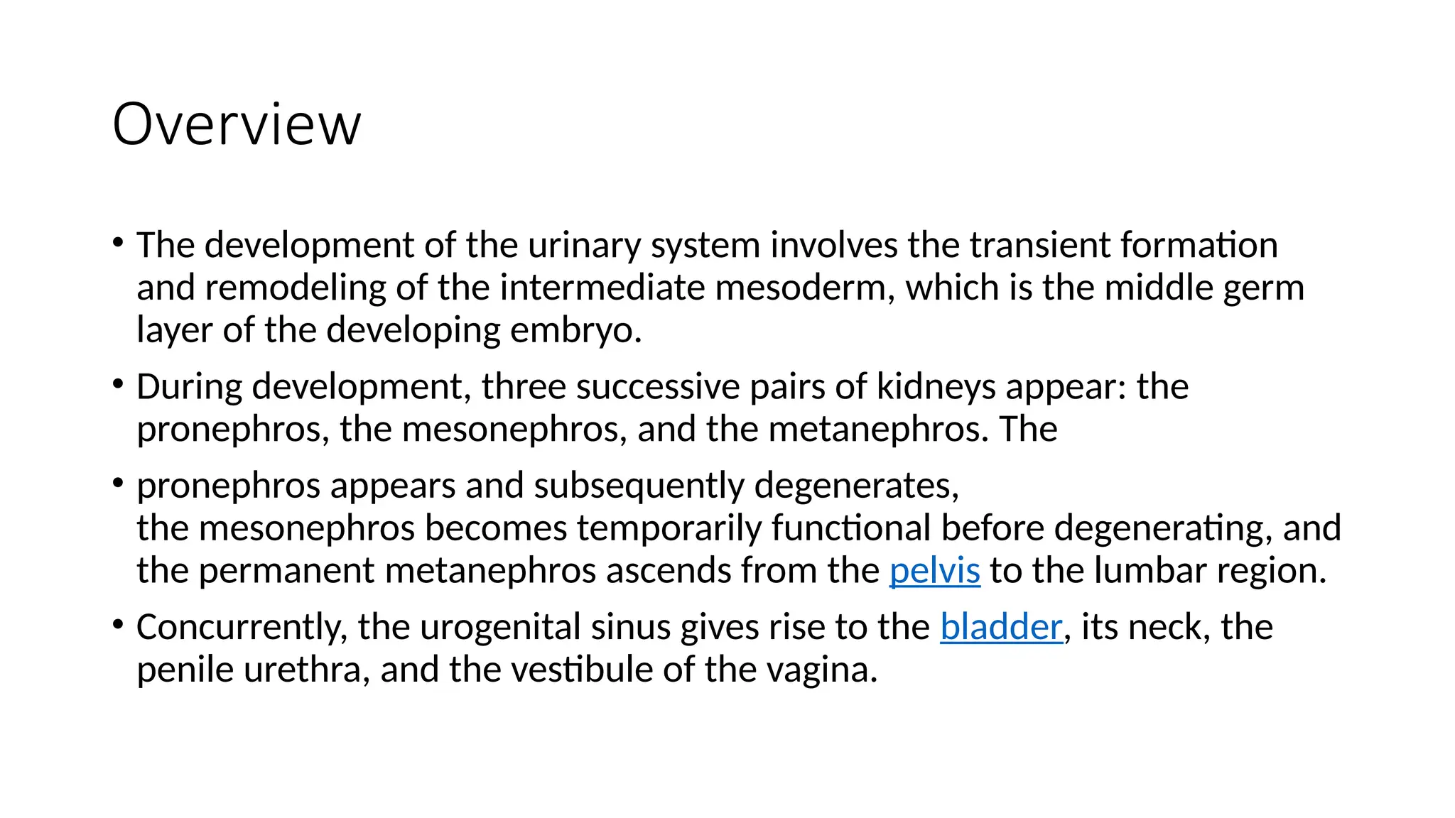 Development of the urinary system embryology | PPTX