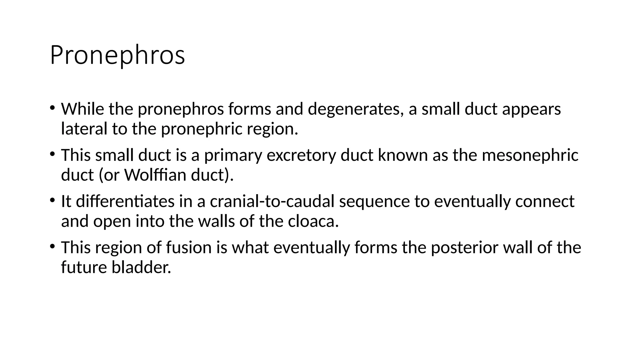 Development of the urinary system embryology | PPTX