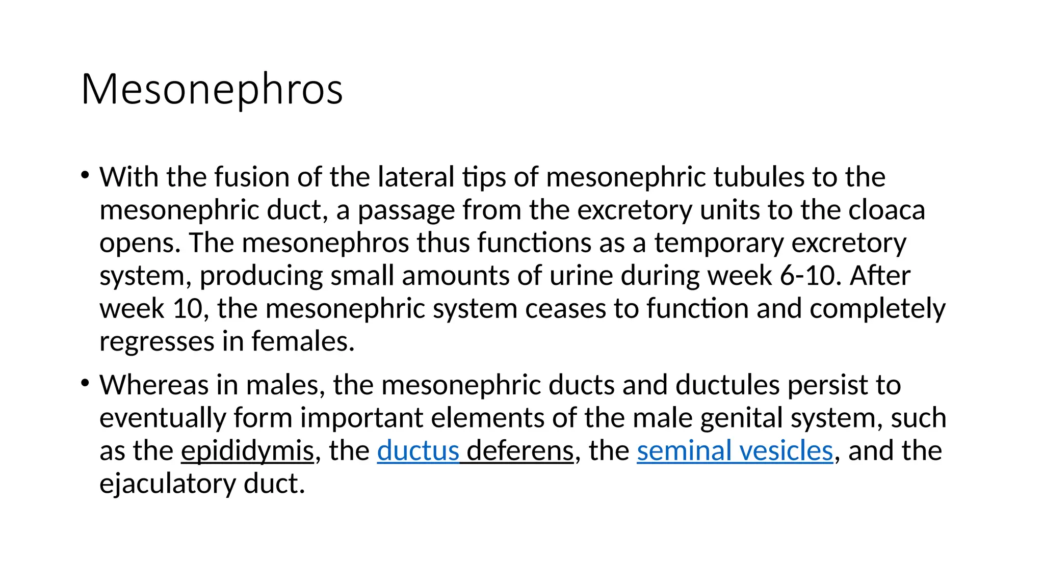 Development of the urinary system embryology | PPTX