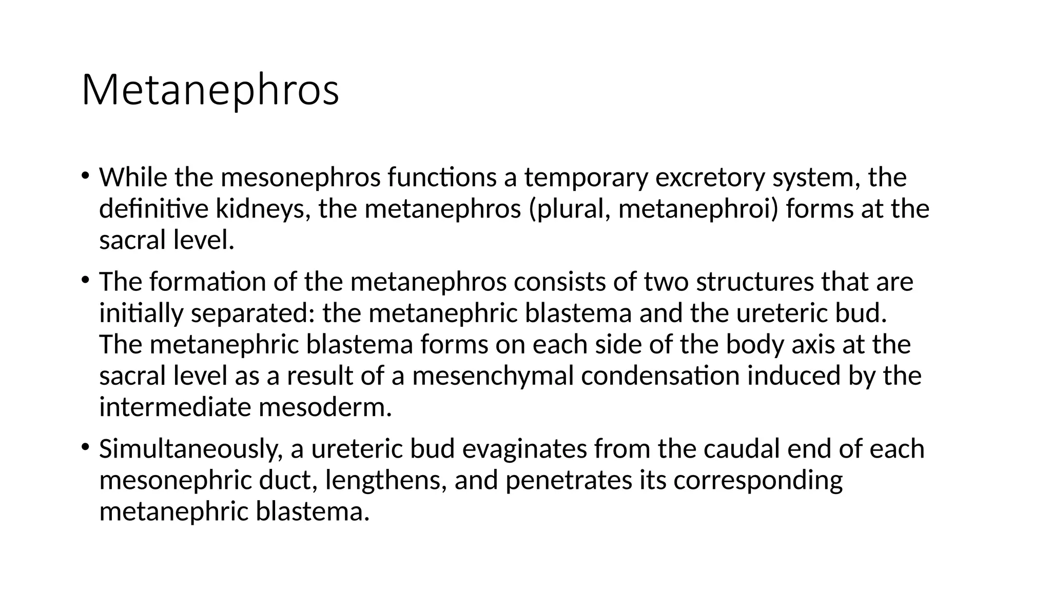 Development of the urinary system embryology | PPTX
