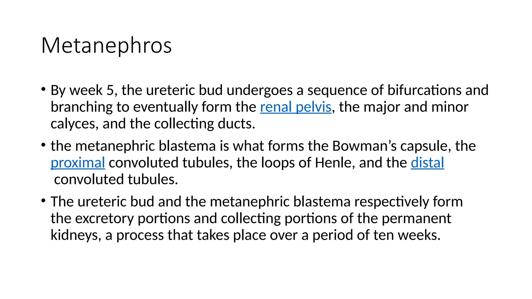 Development of the urinary system embryology | PPTX