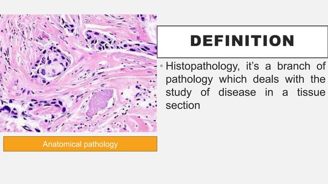 General views of Histopathology and step | PPT