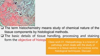 General views of Histopathology and step | PPTX