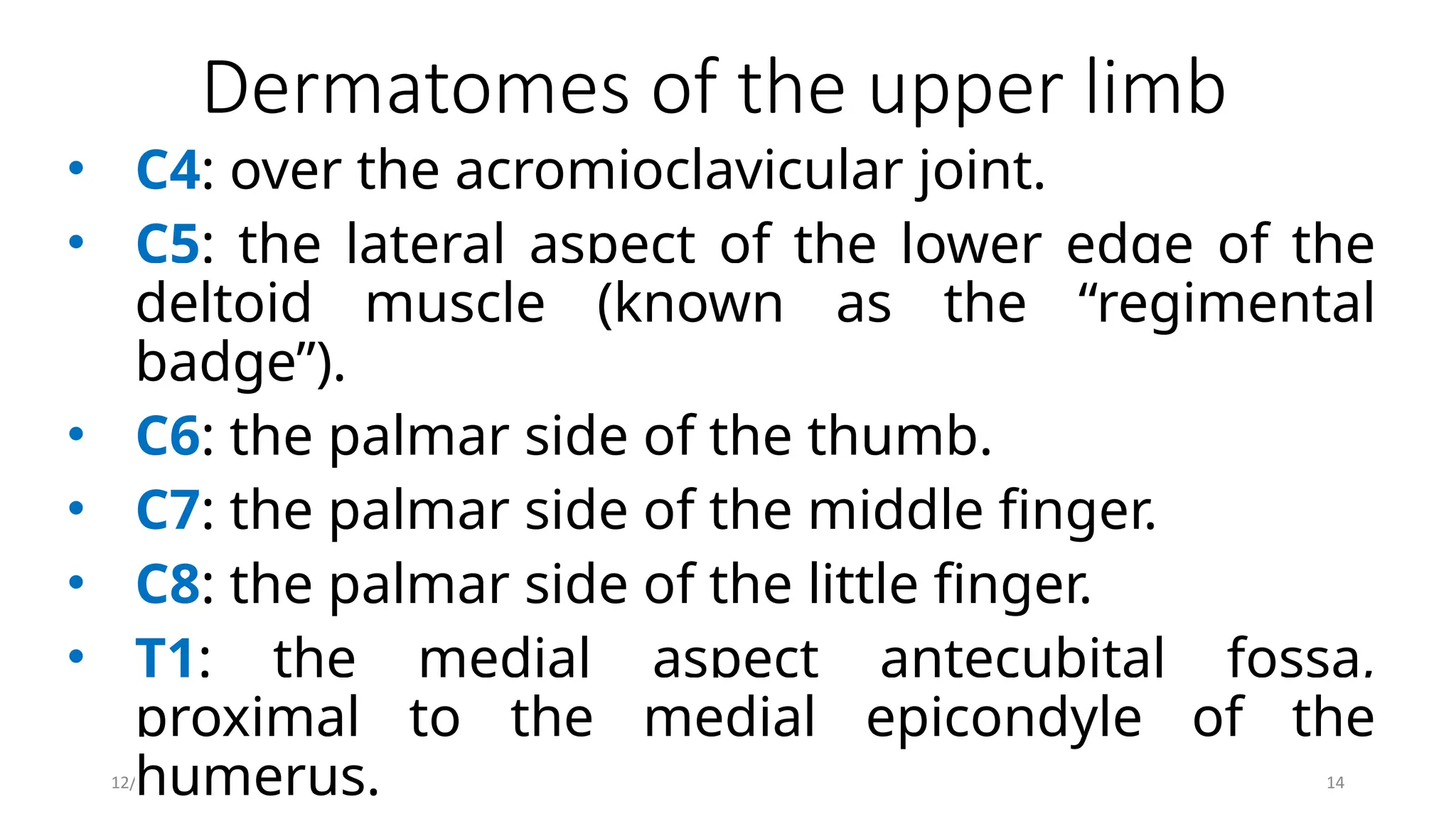Dermatomal mapping of the human body ppx | PPTX