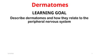 Dermatomal mapping of the human body ppx | PPTX