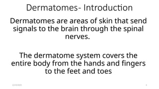Dermatomal mapping of the human body ppx | PPTX