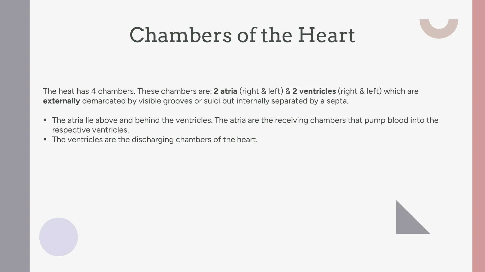 Topographic and Applied Anatomy of the Heart | PPT