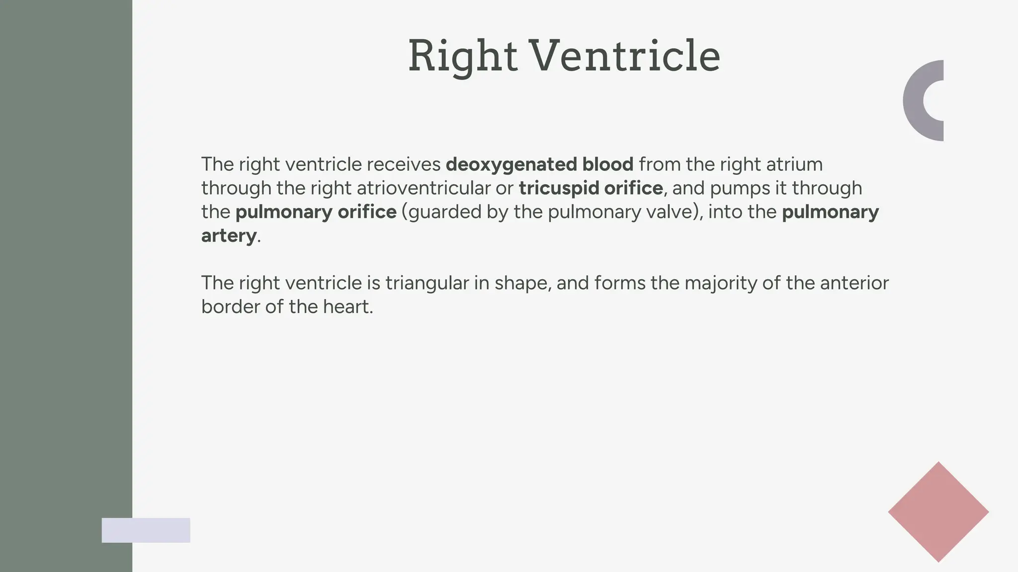 Topographic and Applied Anatomy of the Heart | PPT | Free Download