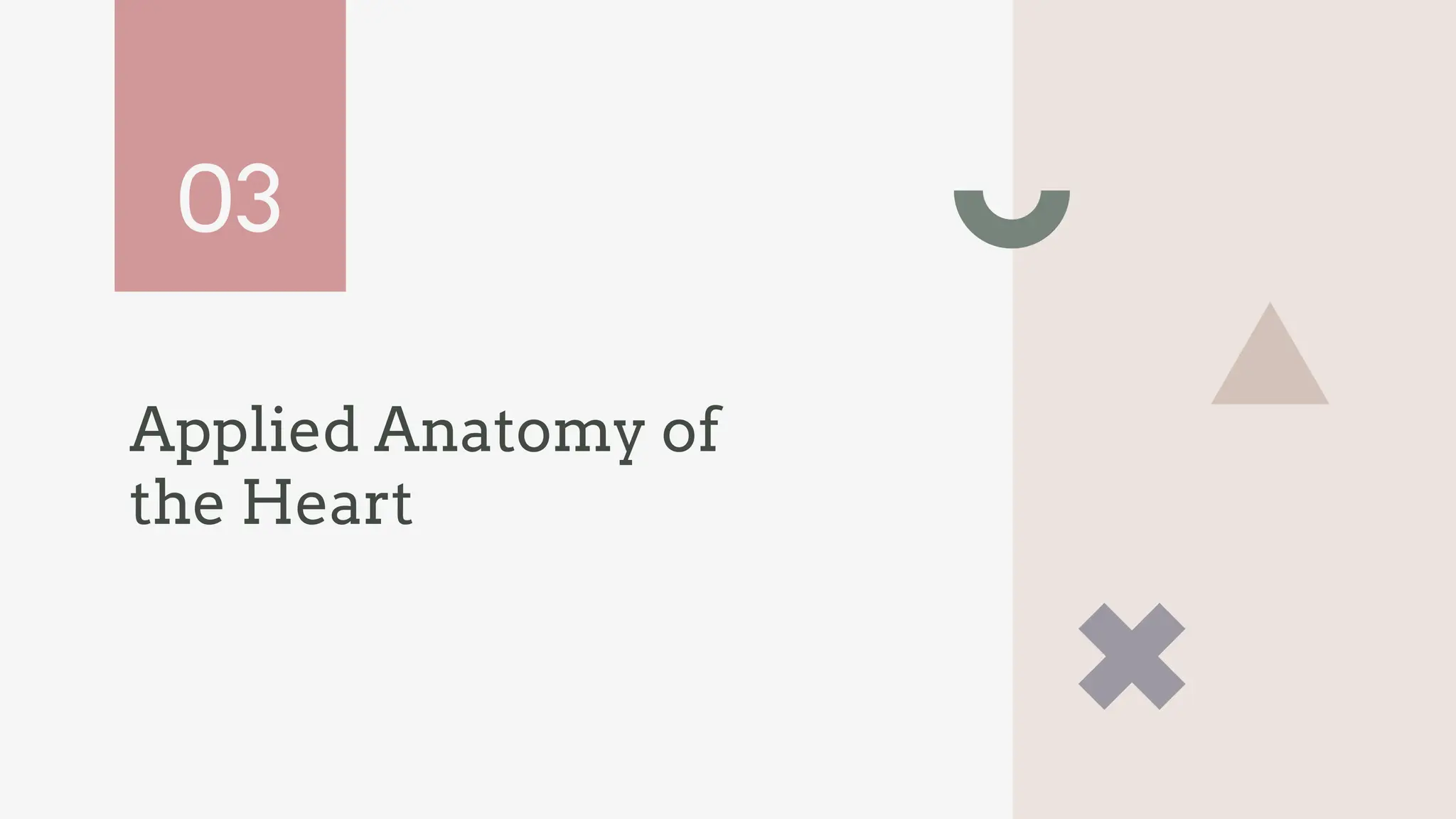 Topographic and Applied Anatomy of the Heart | PPT