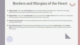 Topographic and Applied Anatomy of the Heart | PPT