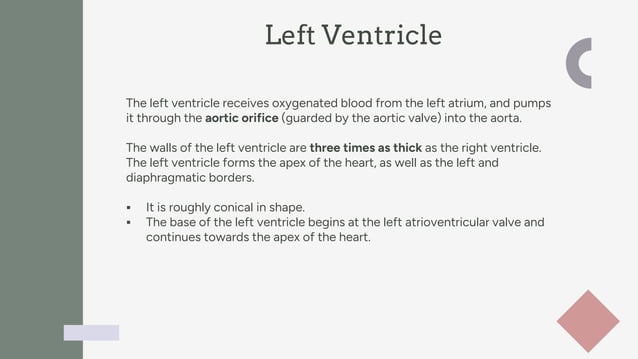 Topographic and Applied Anatomy of the Heart | PPT