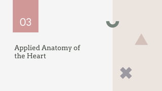 Topographic and Applied Anatomy of the Heart | PPT