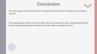 Topographic and Applied Anatomy of the Heart | PPT