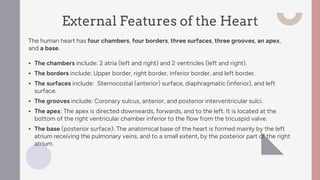 Topographic and Applied Anatomy of the Heart | PPT