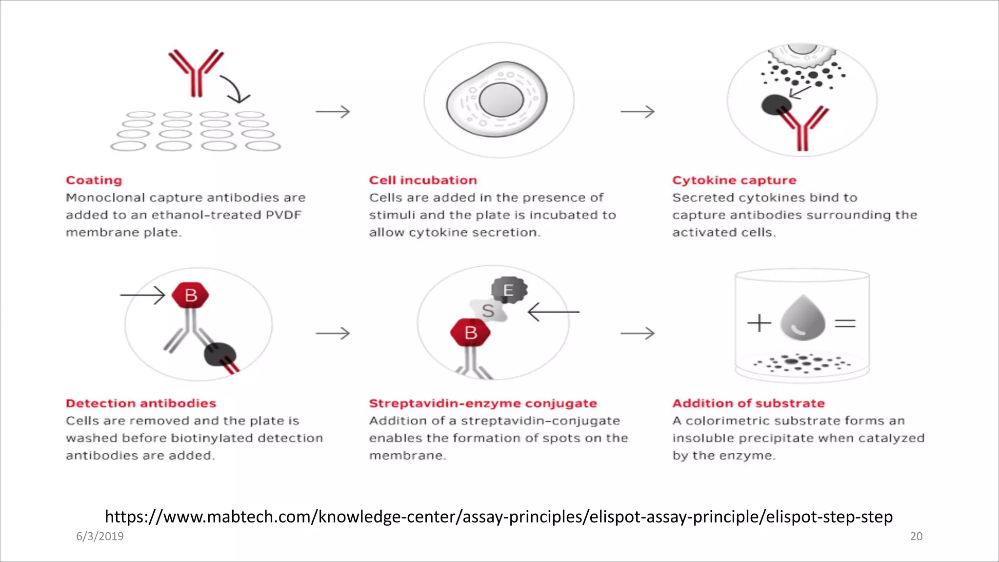 ANA_804 PROTEOMICS, ELISA and ELISpot | PDF