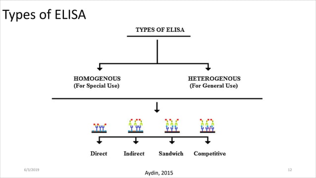 ANA_804 PROTEOMICS, ELISA and ELISpot | PDF | Chemistry | Science