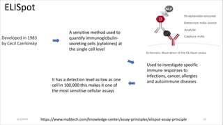 ANA_804 PROTEOMICS, ELISA and ELISpot | PDF