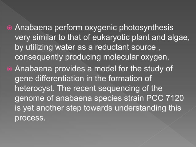 Anabaena | PPTX