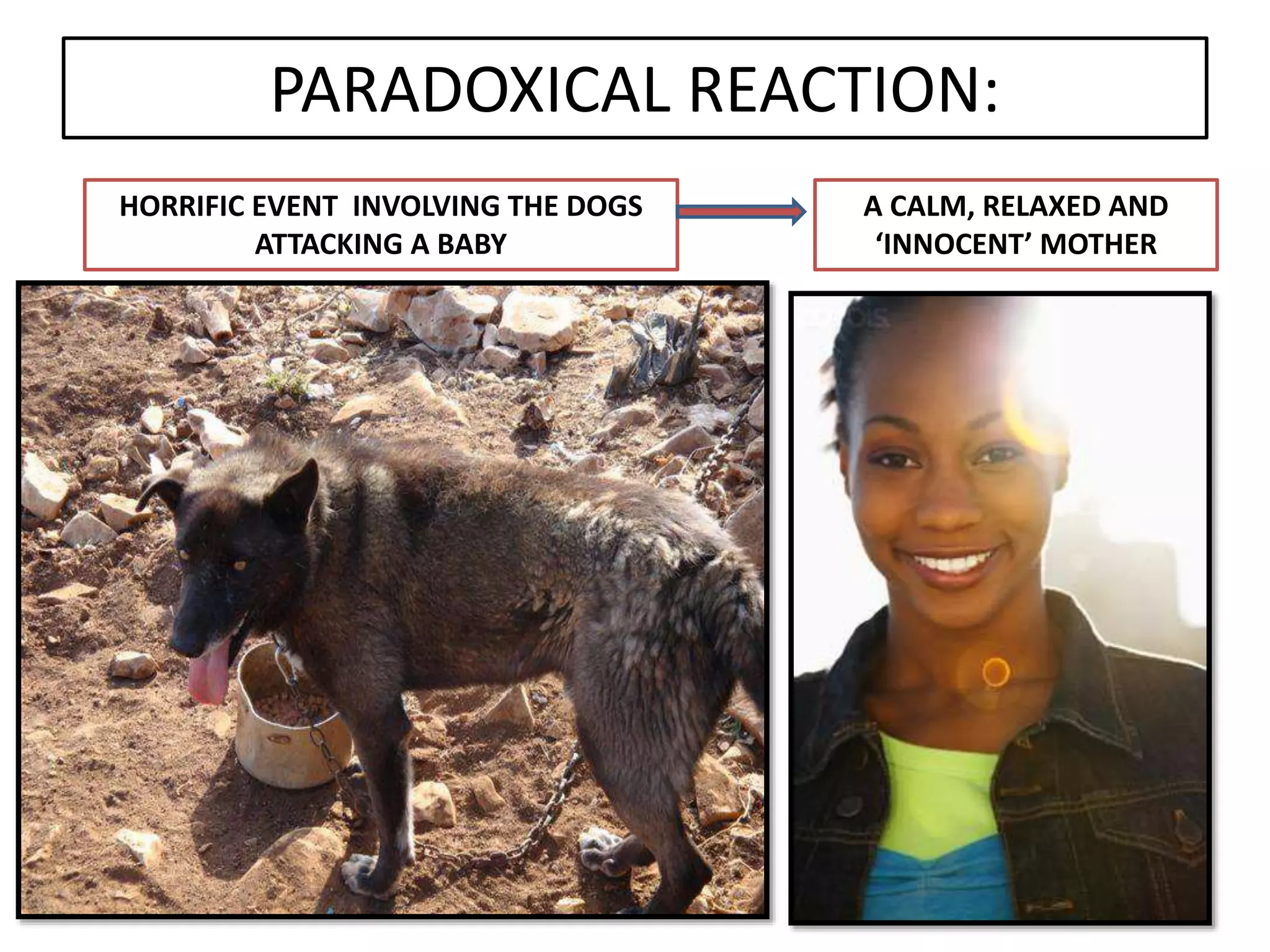 An abandoned bundle | PPTX