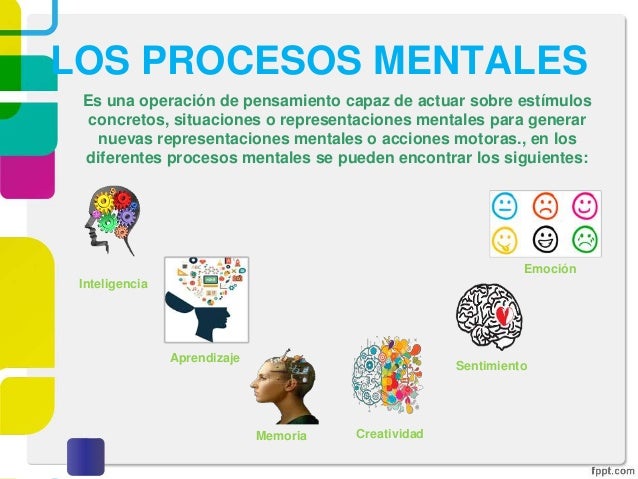 Anabel carrillo Procesos Mentales