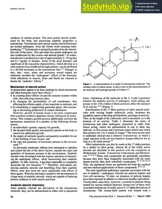 Anabolic Steroids And The Athlete A Case Study | PDF