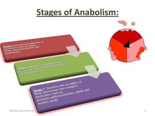 Anabolism | PPTX | Chemistry | Science