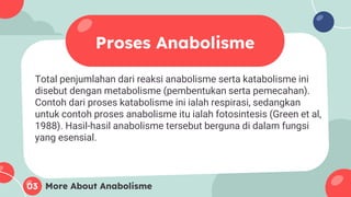 Anabolisme.pptx