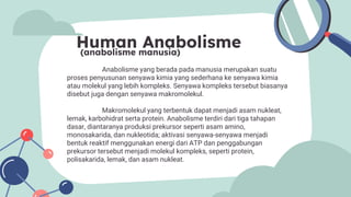 Anabolisme.pptx