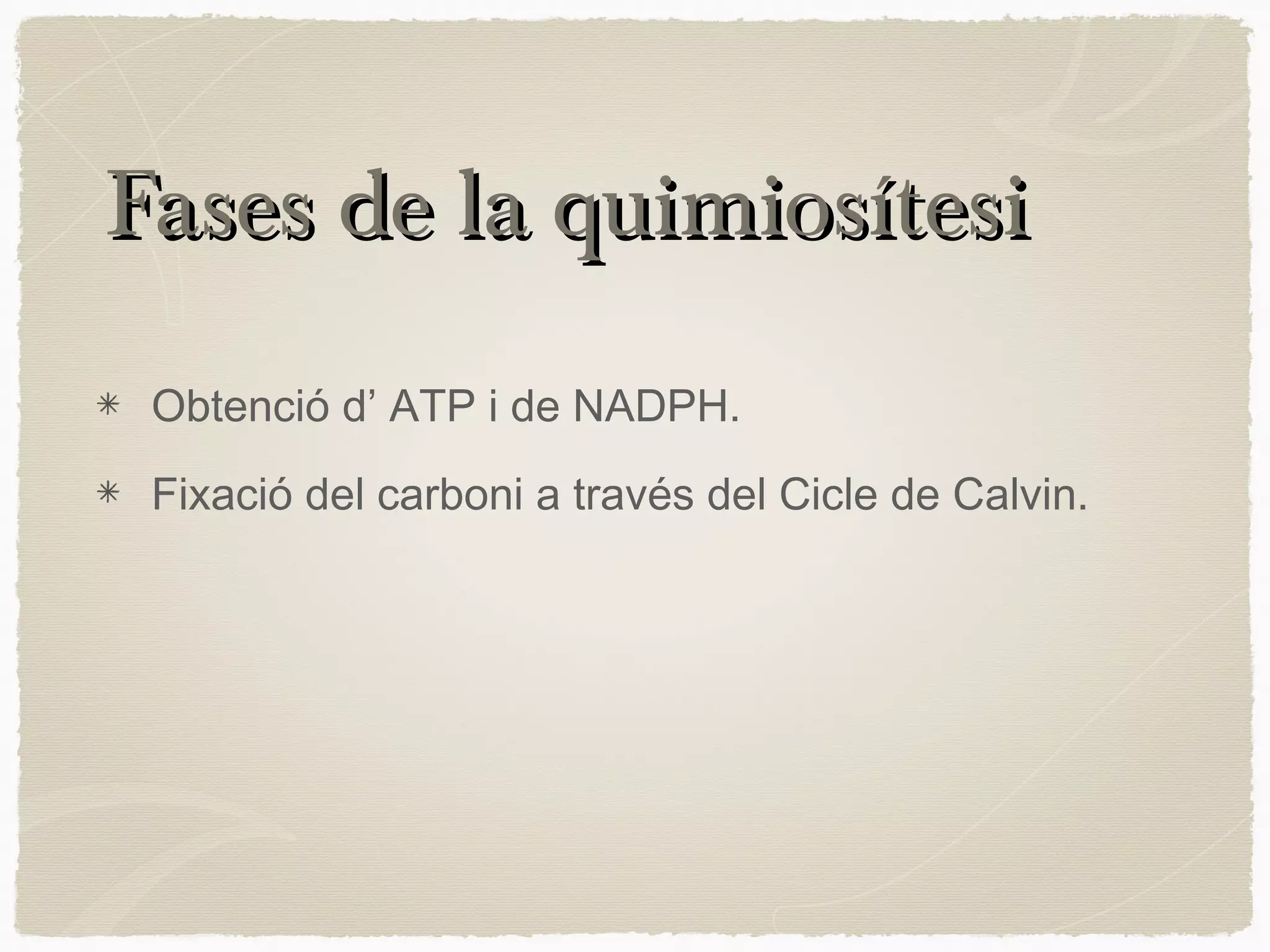 Anabolisme autòtrof | PPT