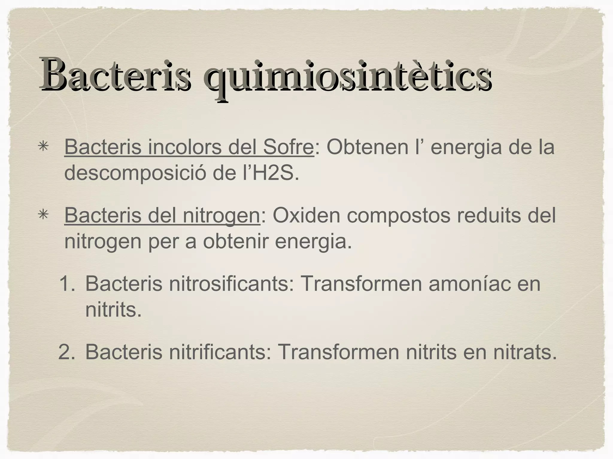 Anabolisme autòtrof | PPT