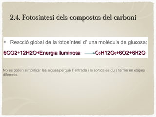 Anabolisme autòtrof | PPT