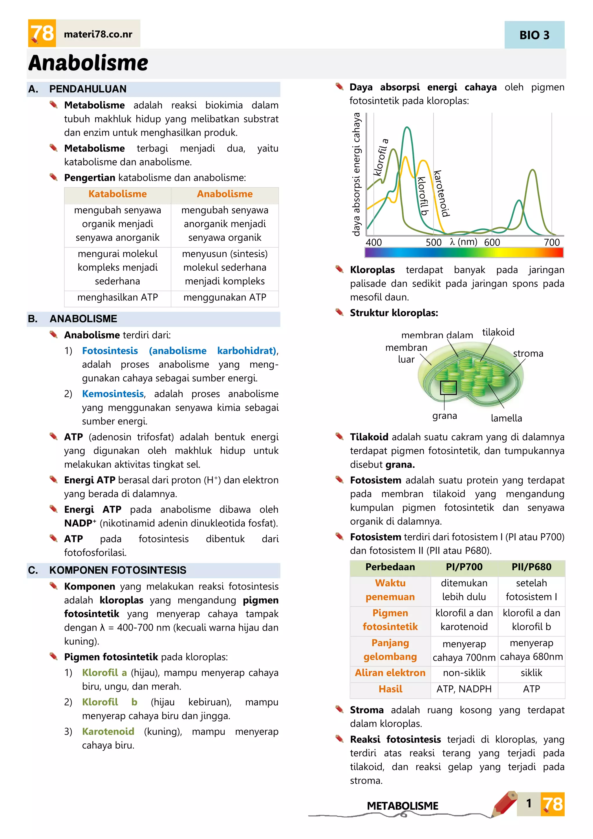 MATERI Anabolisme KELAS XII SMA | PDF