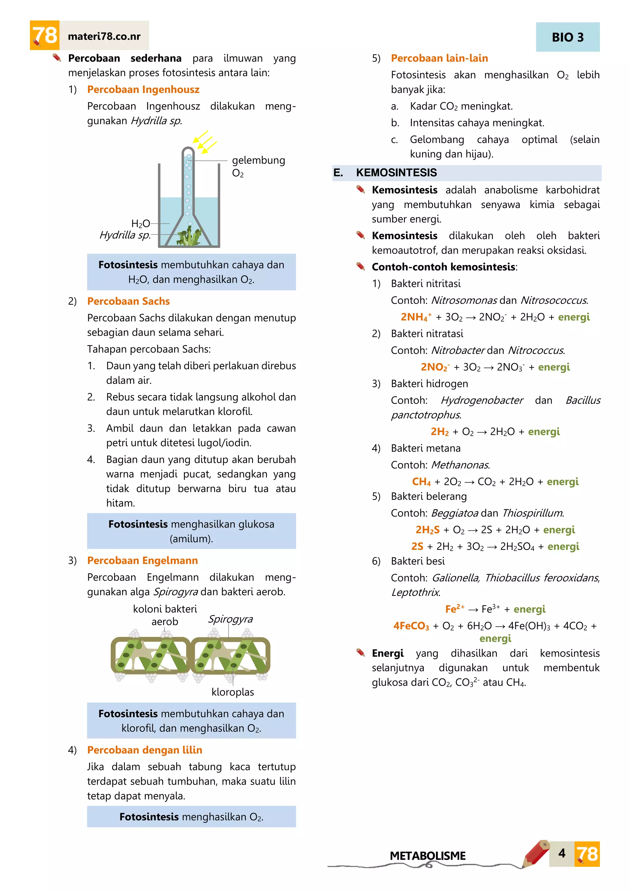 MATERI Anabolisme KELAS XII SMA | PDF