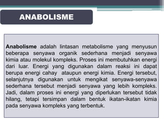 Anabolisme karbohidrat | PPTX