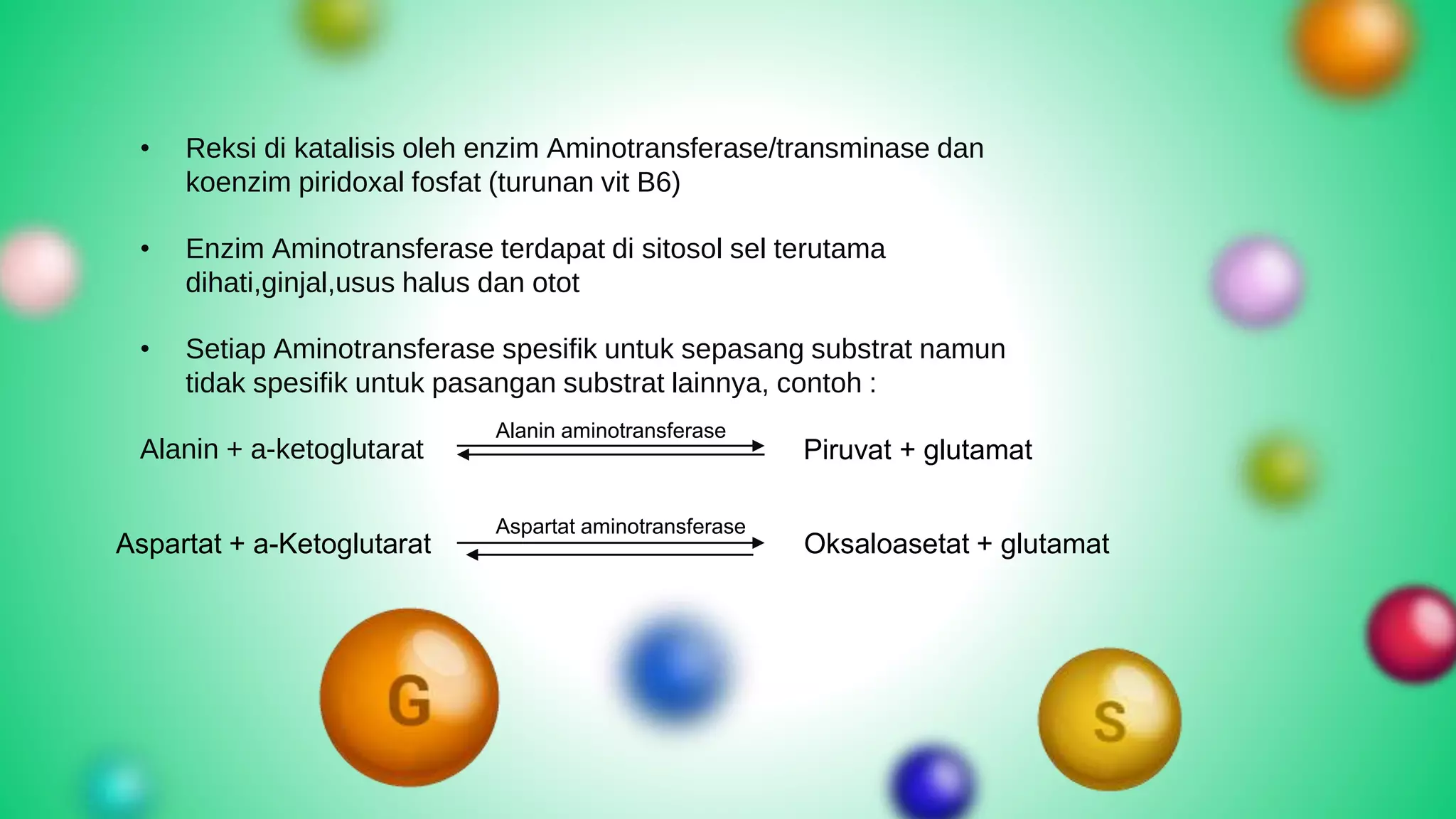 Anabolisme Katabolisme Protein.pptx